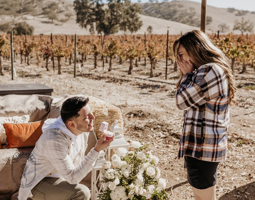 The Best Surprise Marriage Proposal | Third Wheel Tours