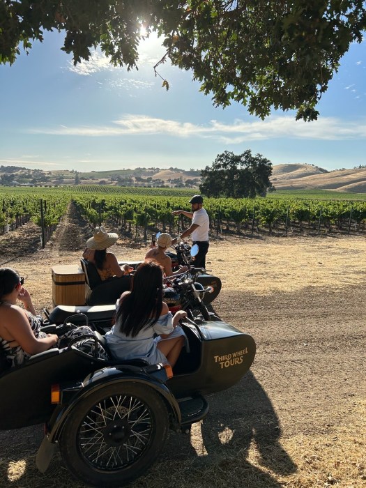 Things to Do in Paso Robles Besides Wine Tasting-Third Wheel Tours